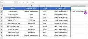 2 Ways to Stop Excel from Rounding 16 Digit Numbers