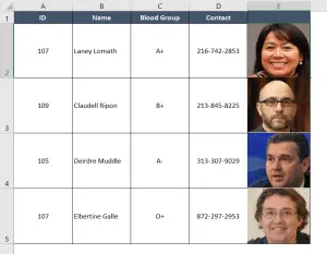 How to Insert Pictures in Excel Automatically Size to Fit Cells
