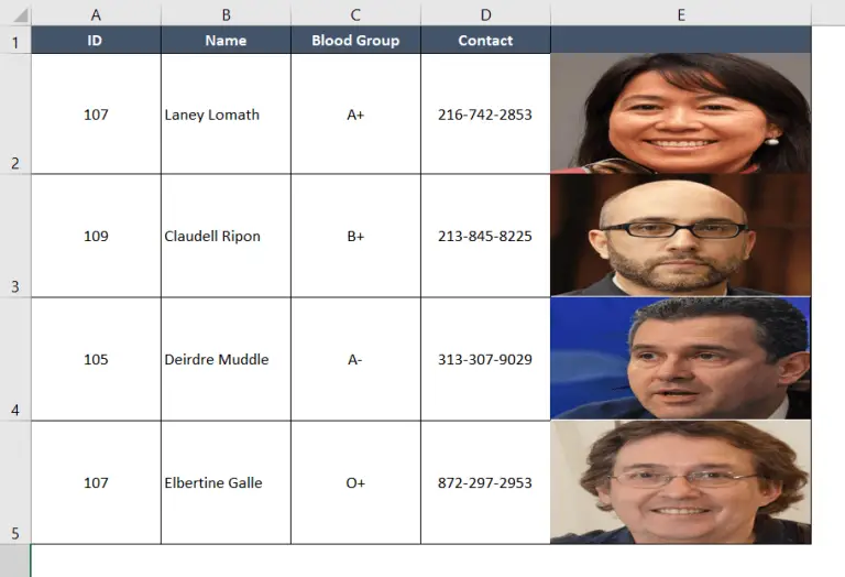 How to Insert Pictures in Excel Automatically Size to Fit Cells