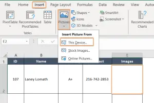 How to Insert Pictures in Excel Automatically Size to Fit Cells
