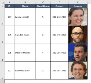How to Insert Pictures in Excel Automatically Size to Fit Cells